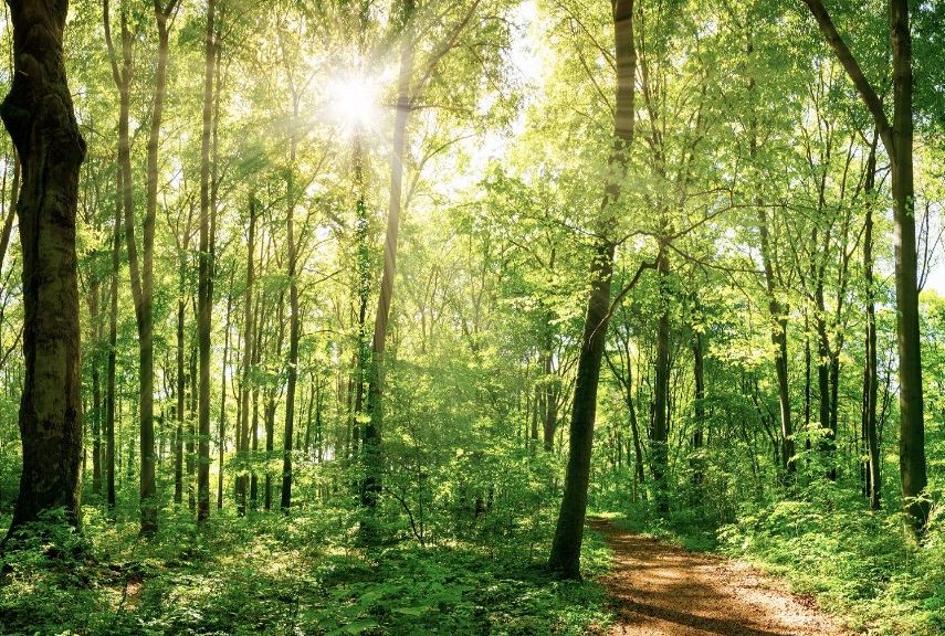 Le choix des cœurs doux : « Space Between us » de Alex Krawczyk. - INFO ...